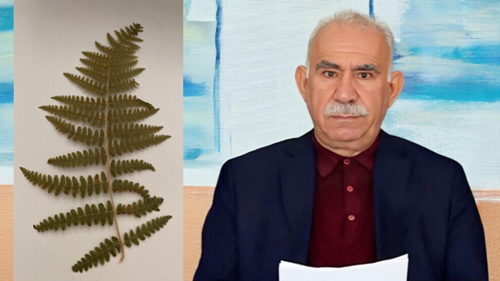 Öcalan: My unfinished project is now complete – Egerin